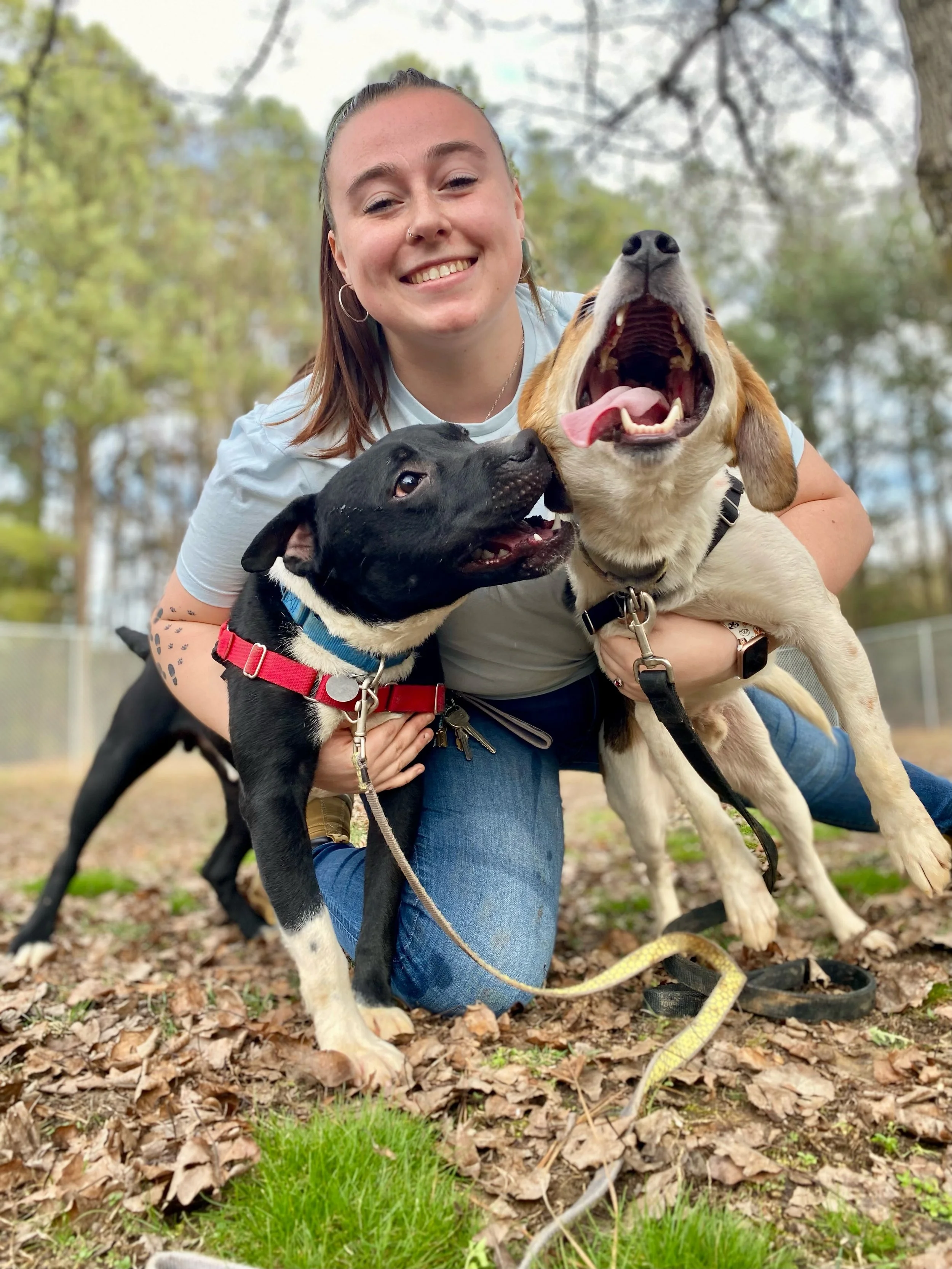 About Richmond Animal League | Animal Shelter in Richmond — Richmond ...