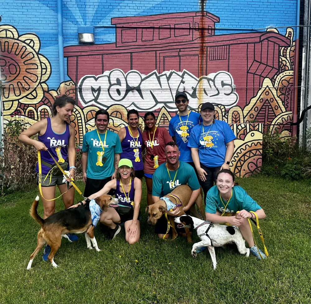 Richmond Animal League | Animal Shelter In Richmond Virginia