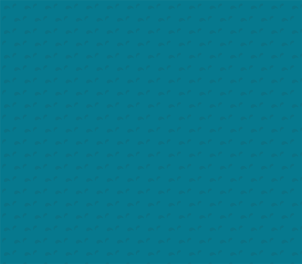 About Richmond Animal League | Animal Shelter in Richmond — Richmond ...