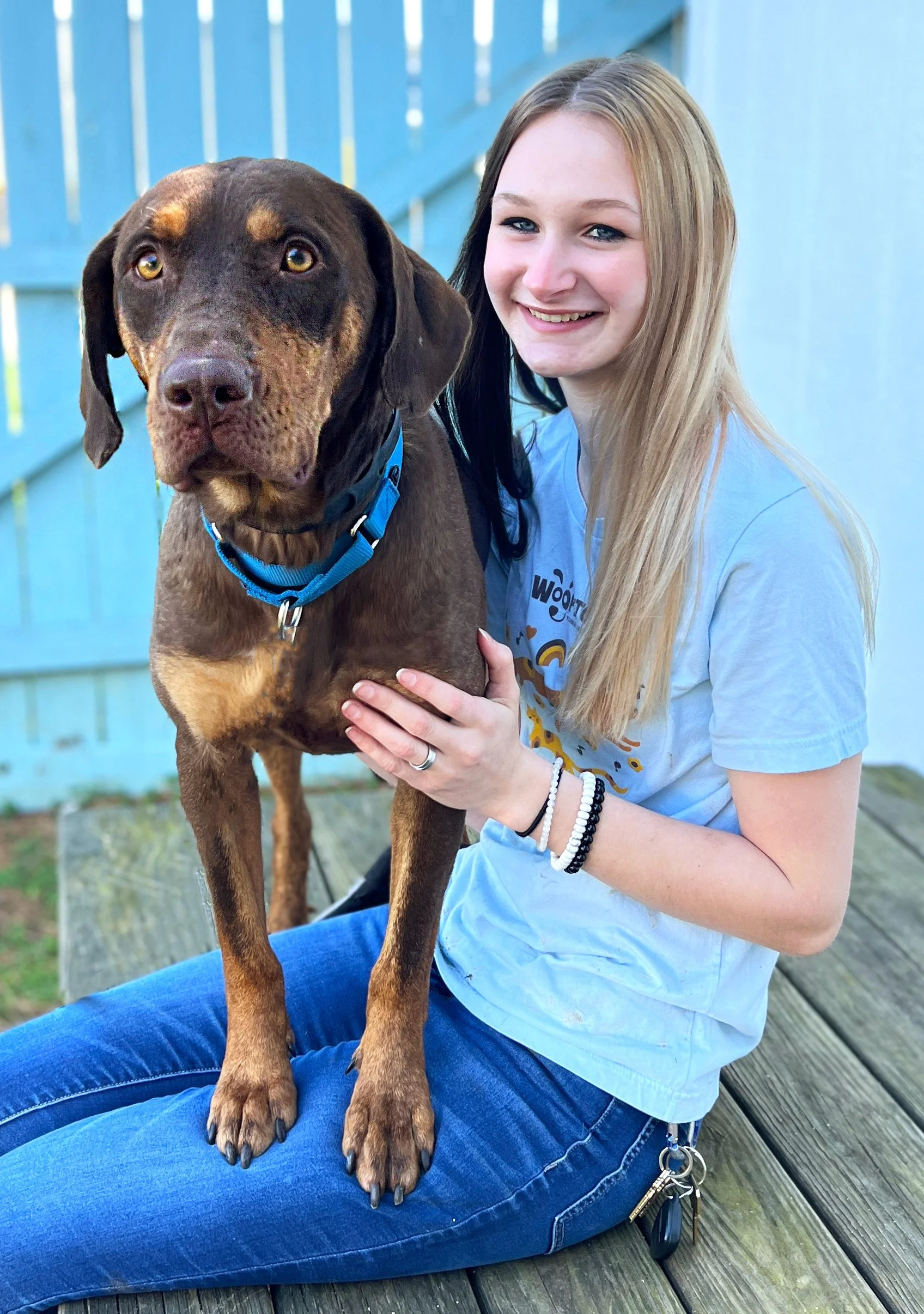 About Richmond Animal League | Animal Shelter in Richmond — Richmond ...