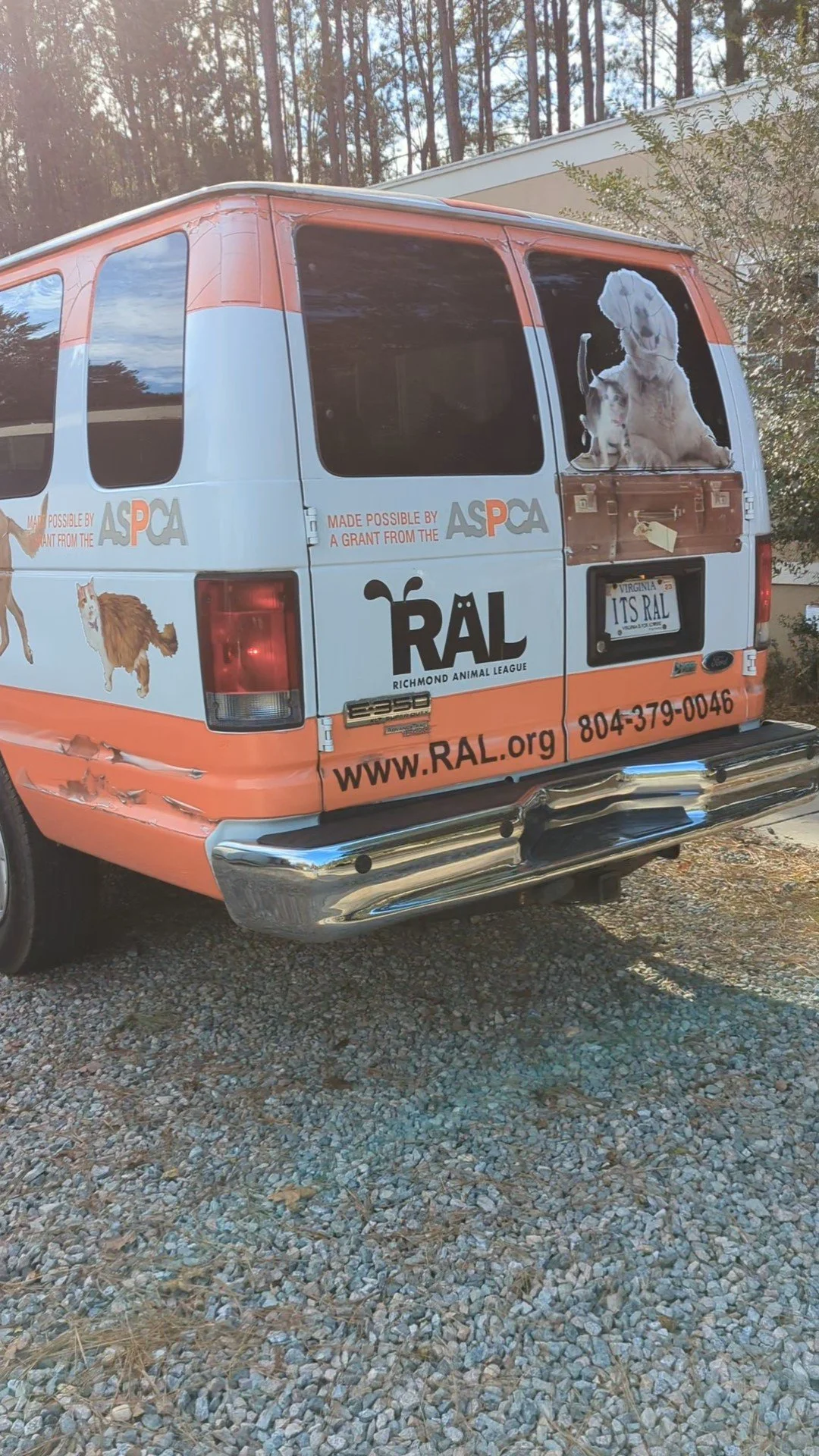 Shelter Partner Form | How Your Shelter Can Partner With RAL — Richmond ...