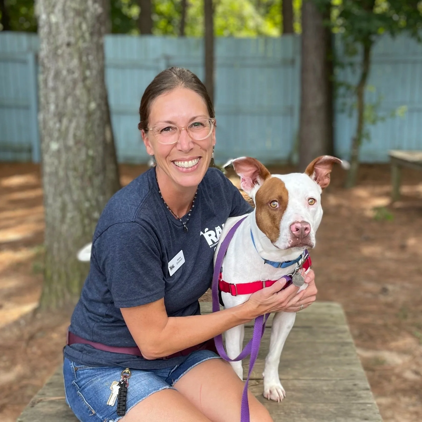 About Richmond Animal League | Animal Shelter in Richmond — Richmond ...