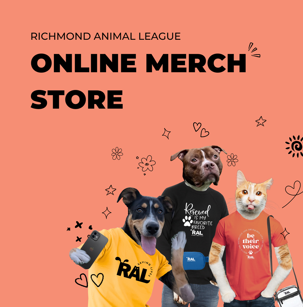 Richmond Animal League | Animal Shelter In Richmond Virginia