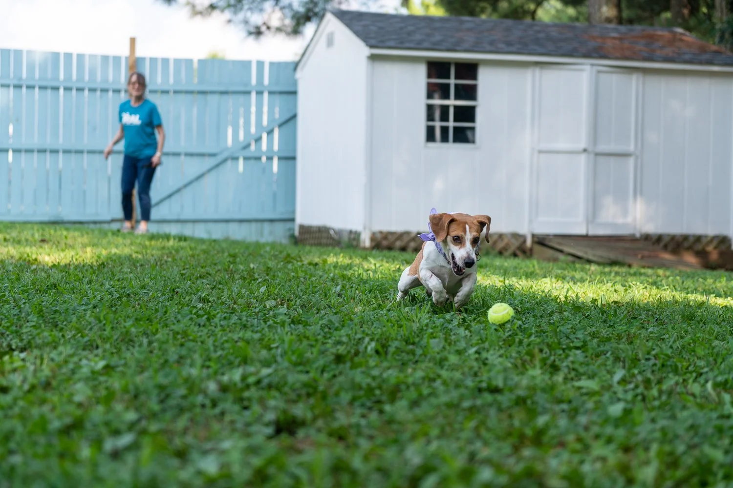 Richmond Animal League