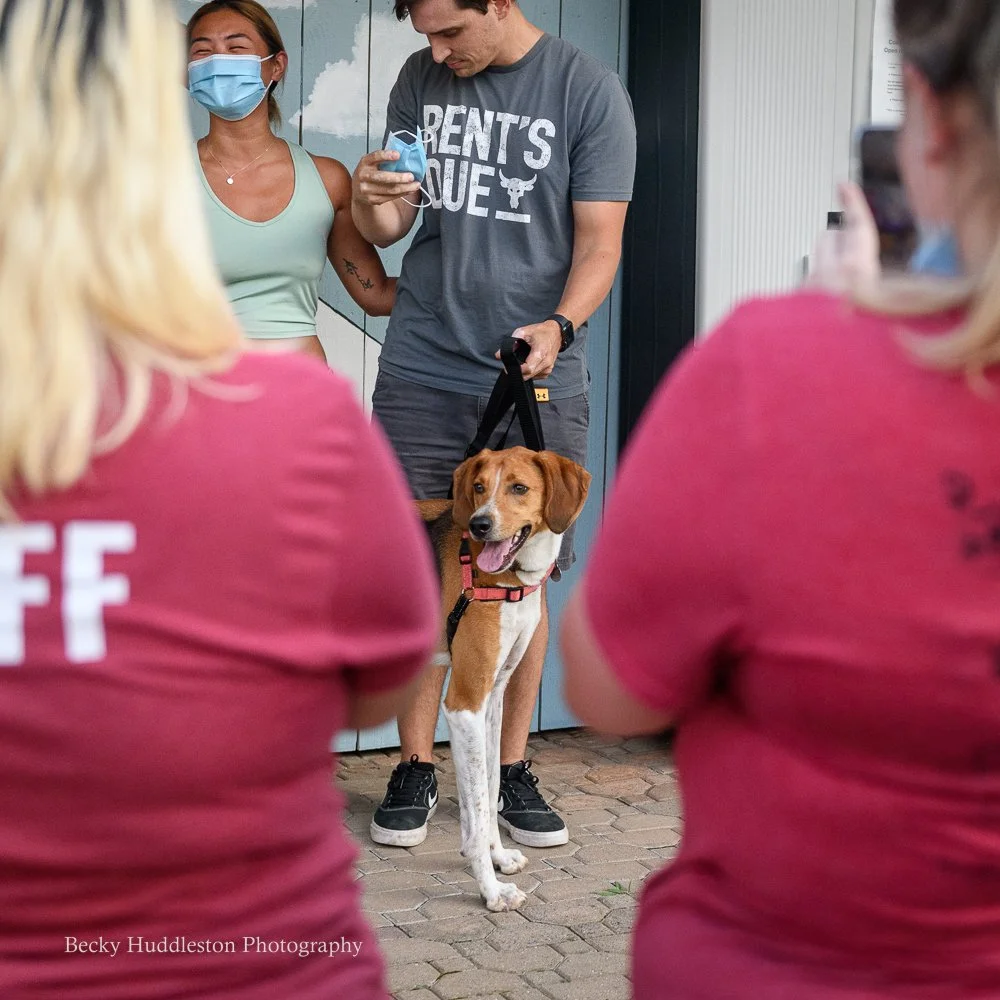 Donate — Richmond Animal League