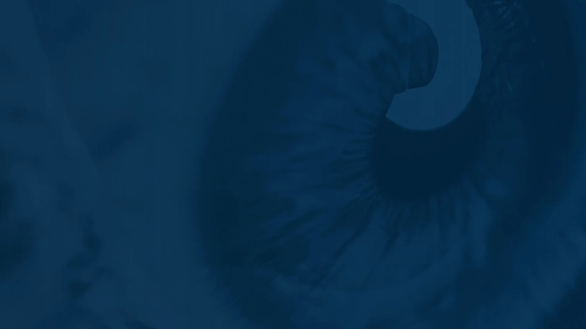 Ovitz ARES Contact Lens — We make lenses.