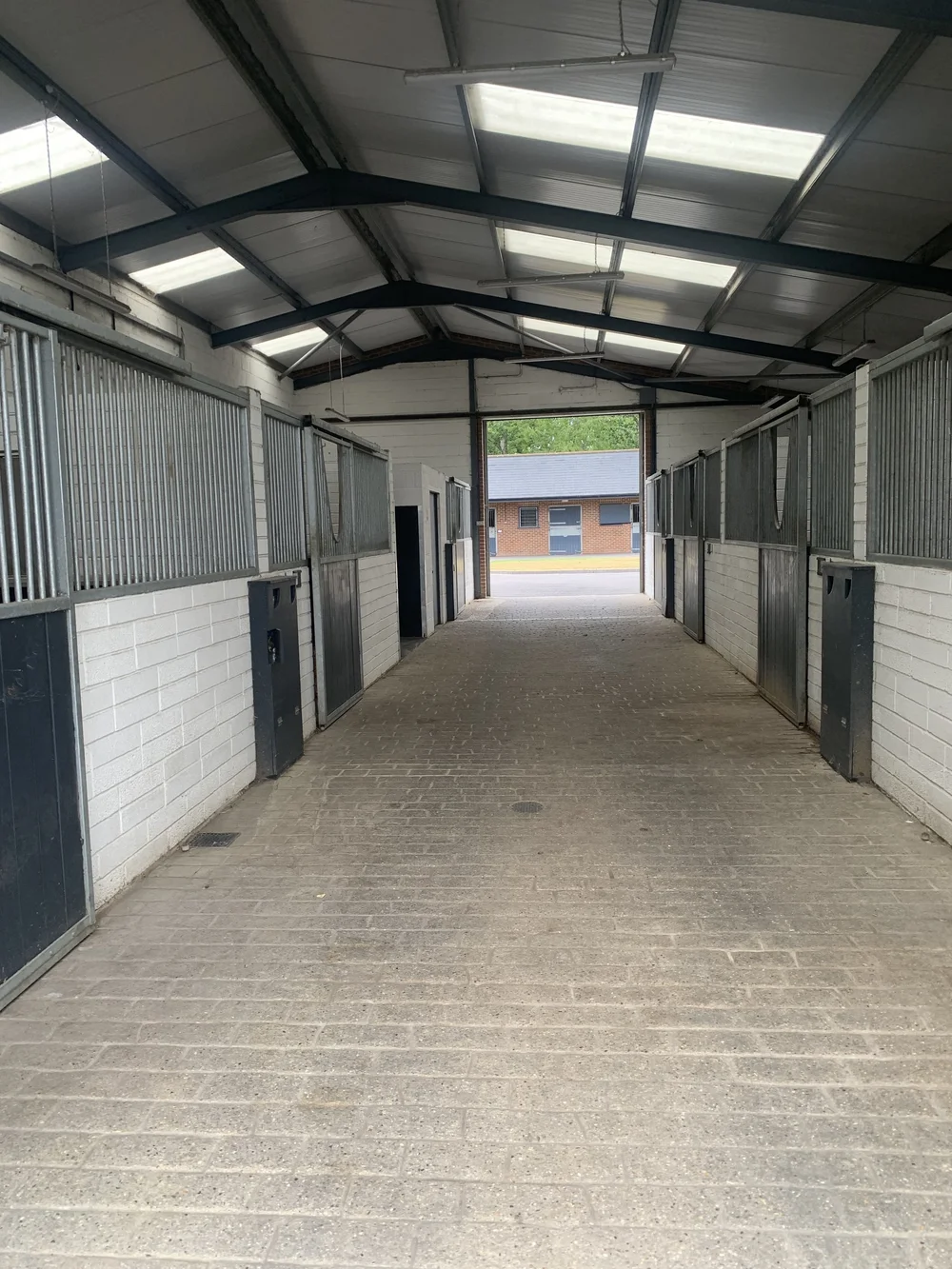Gallery — Carisbrooke Stud