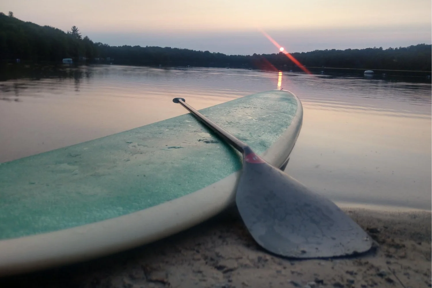 Wellness on the Wolf