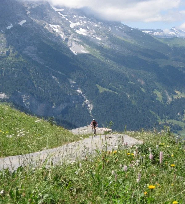 SUZANNE GAUCH > Professor of English & Author — SWISS PA FORUM