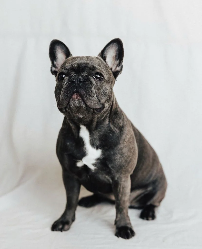 Booking — Wilder & Co.