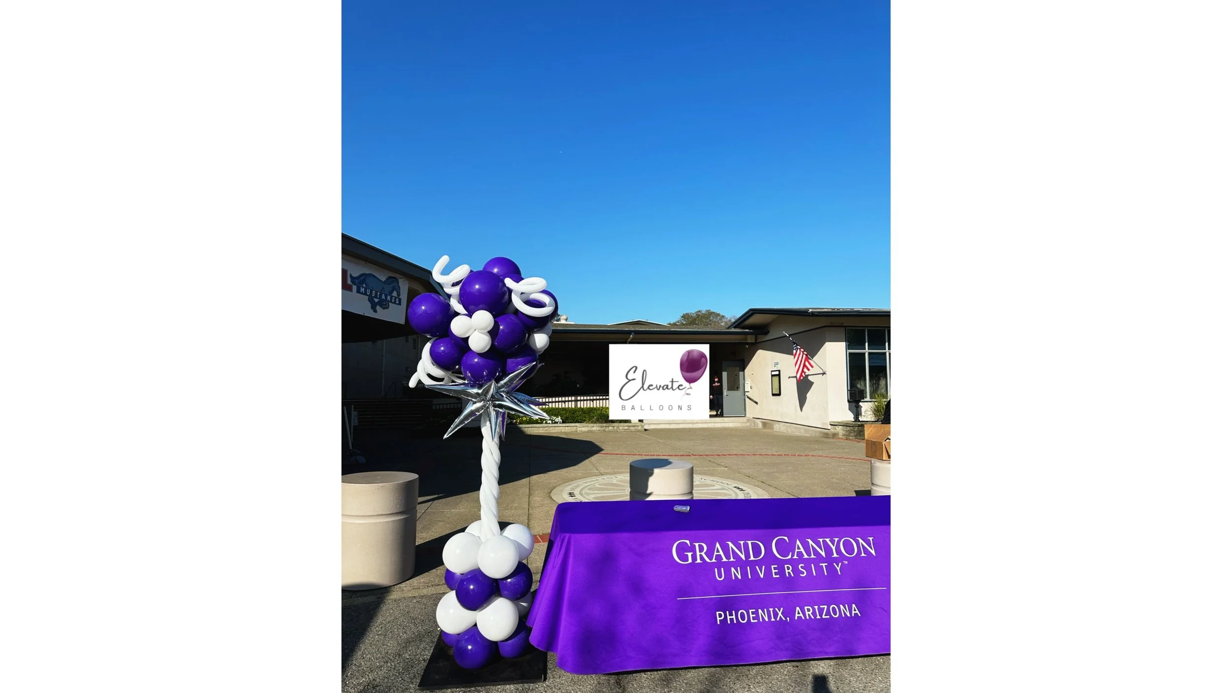 Balloon Arch Santa Rosa — Elevate Balloons