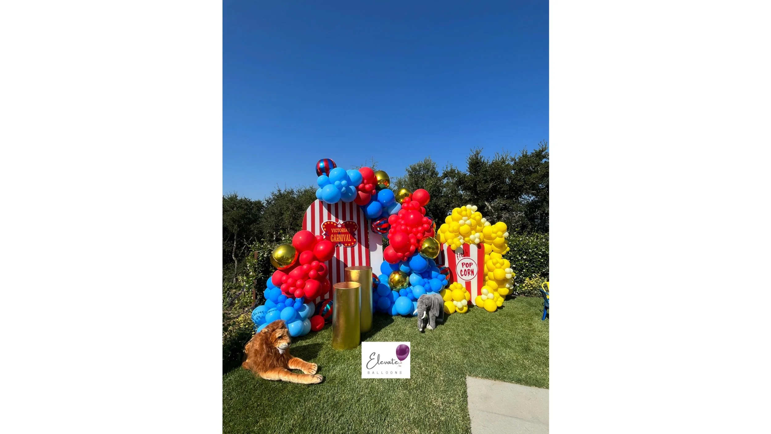 Services 1 — Elevate Balloons