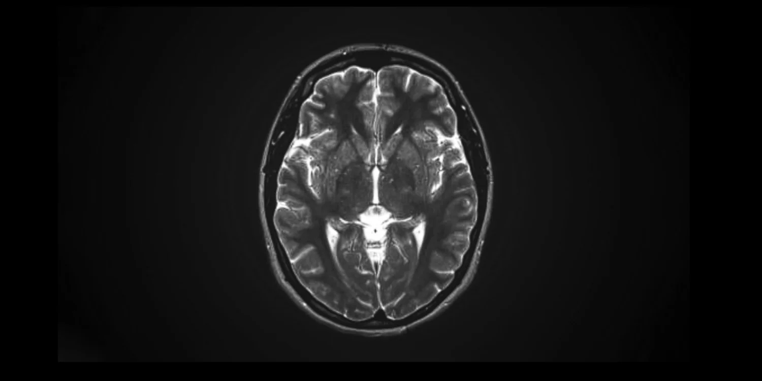 Applications — Bionaut