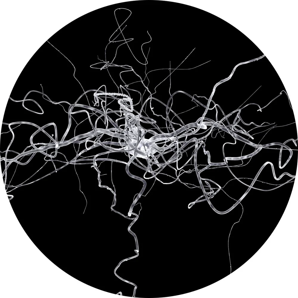 Diagnostic, Biological Sensing/Monitoring, Stimulatory — Bionaut