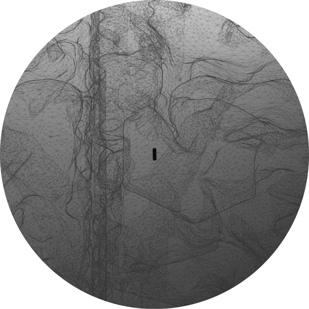 Technology — Bionaut