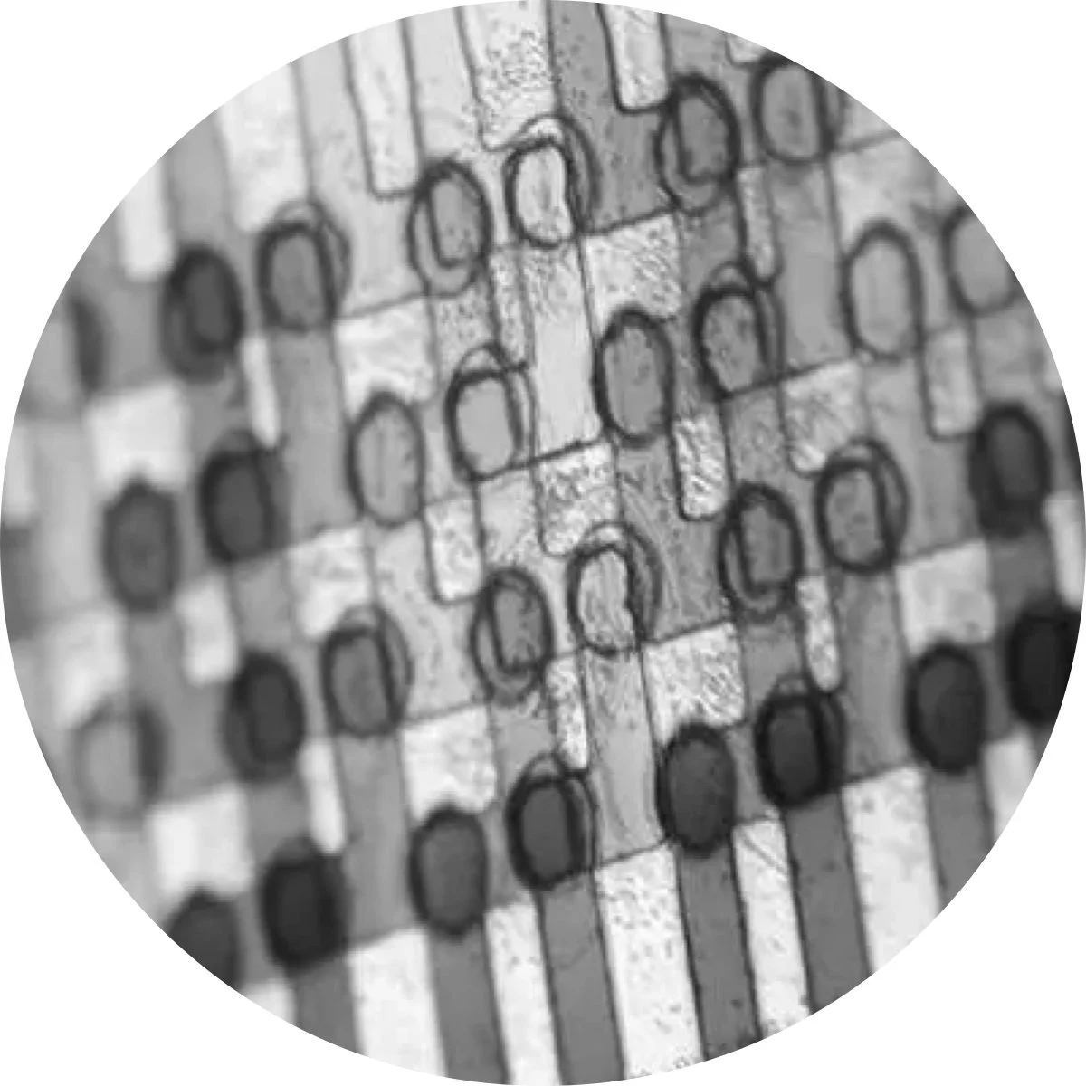 Diagnostic, Biological Sensing/Monitoring, Stimulatory — Bionaut