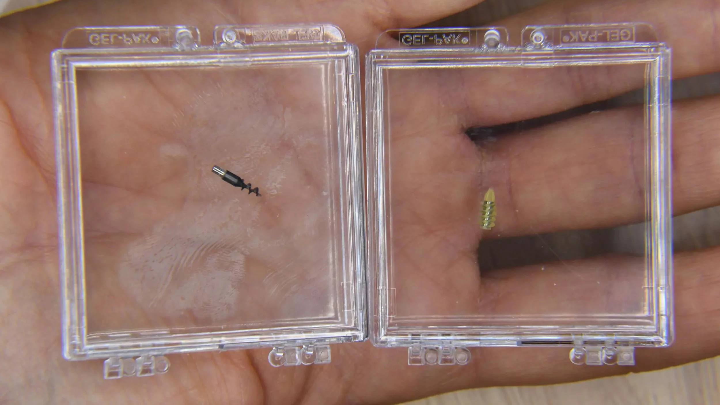 Newsroom — Bionaut