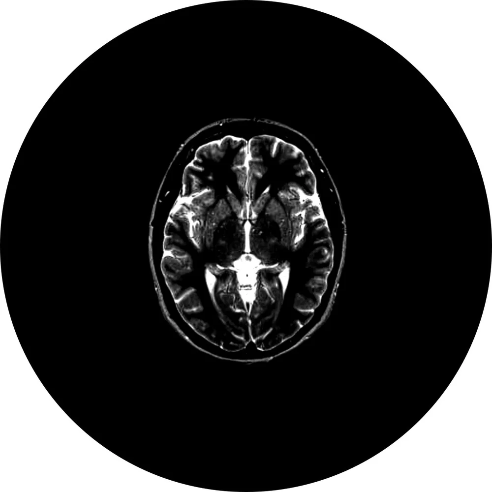 Microsurgical — Bionaut