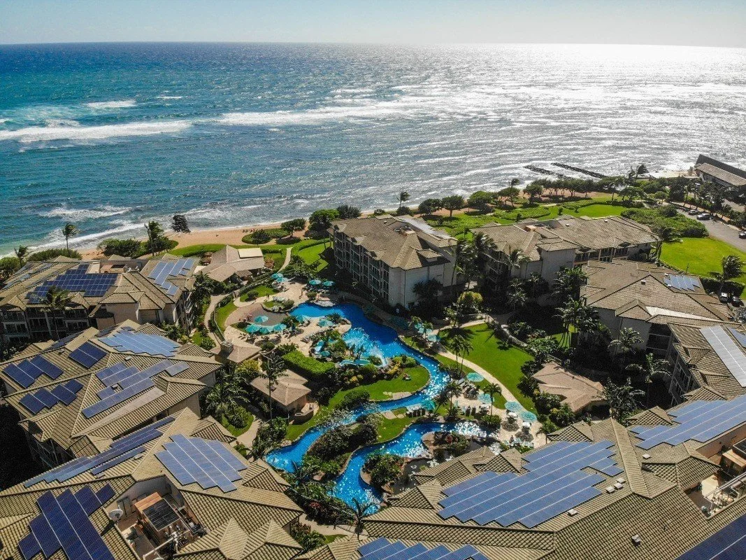 Roger Dodd Trial Clinics