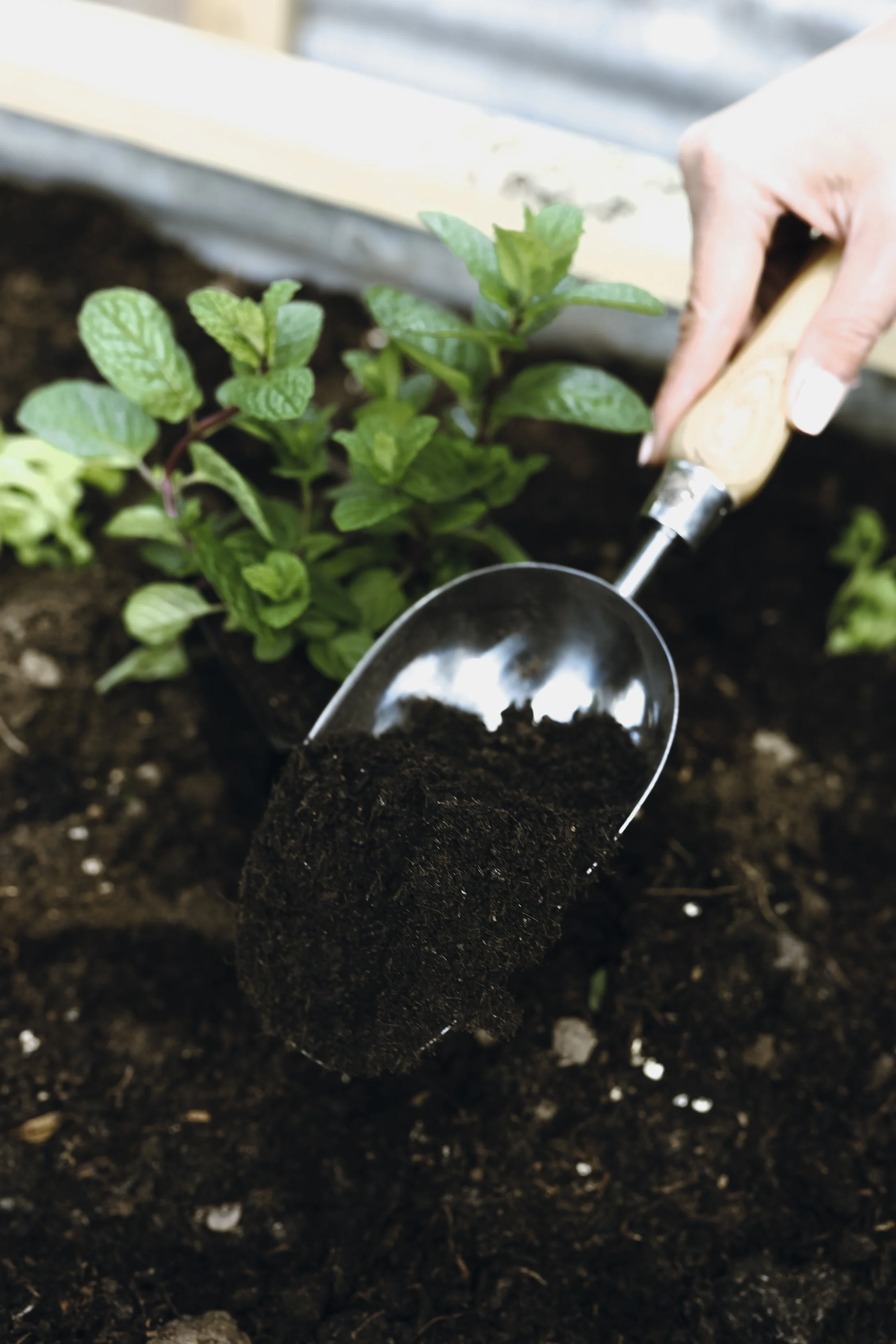 Soilz Alive | Hair-infused nourishment for happy, healthy plants | Good ...