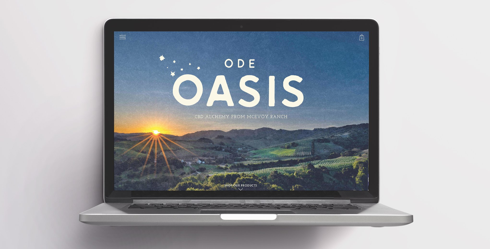 ODE OASIS — Tracy Lenihan Design