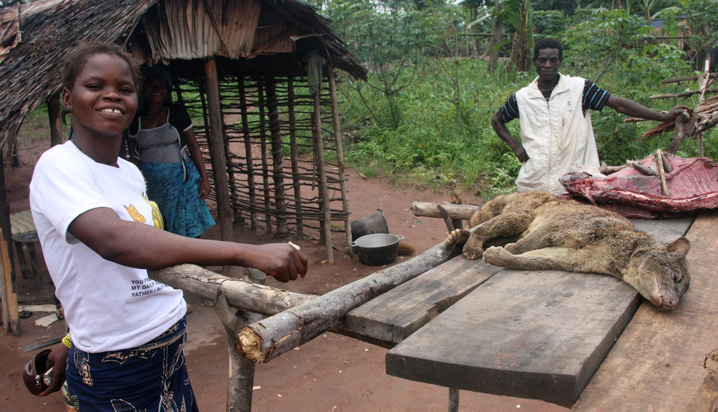 Nandinia binotata - African Palm Civet (Family Nandiniidae) — Coke ...