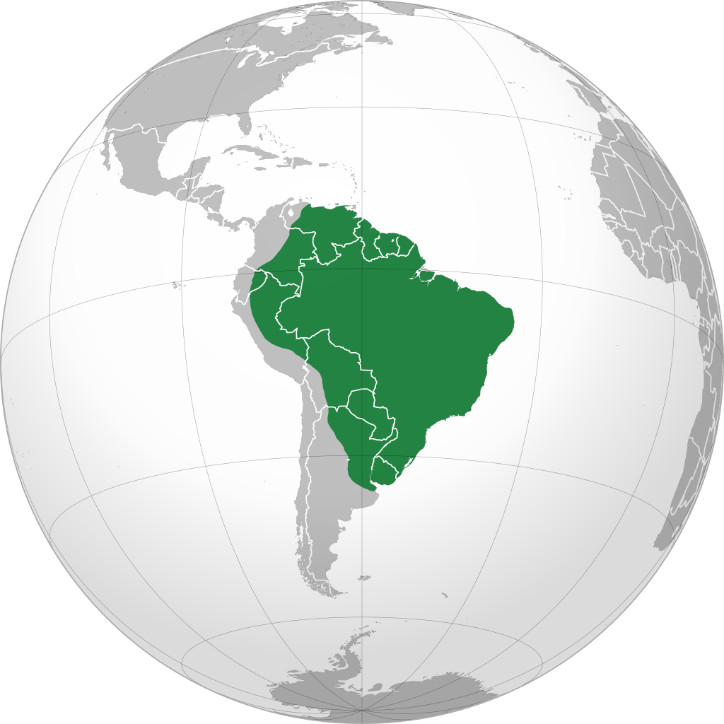 Capybara or Greater Capybara (Hydrochoerus hydrochaeris) — Coke Smith ...