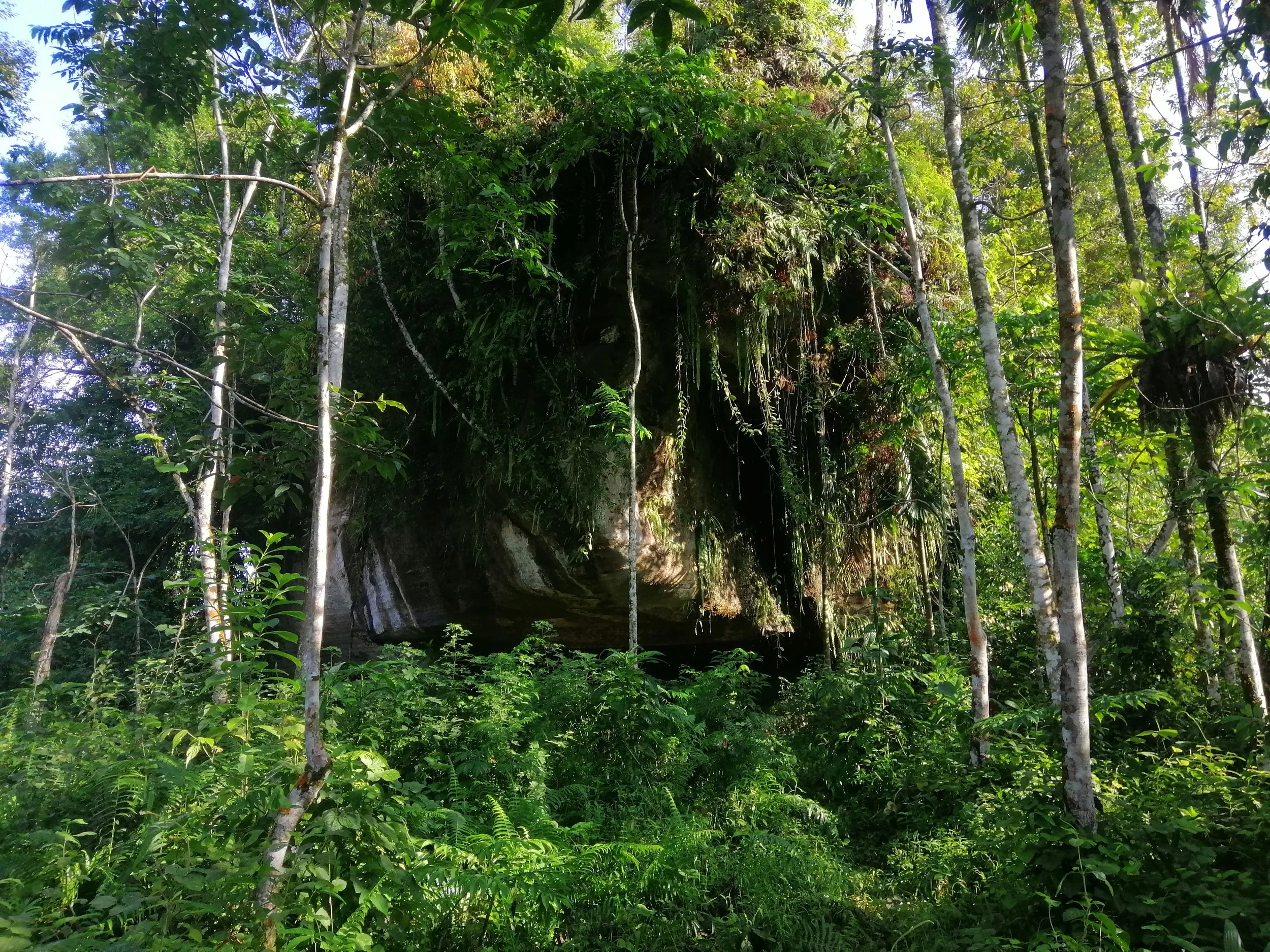 Expedition to Sumatra — Coke Smith Wildlife