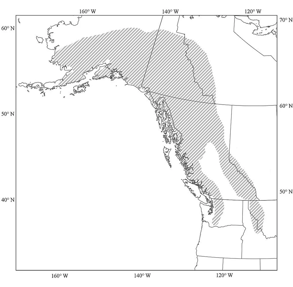 Genus Marmota The Marmots — Coke Smith Wildlife