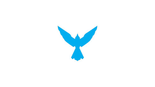 BLUE JAY HARD SELTZER