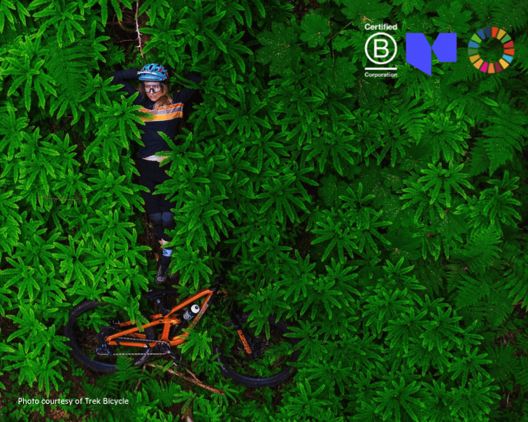 When the journey leads you to $2b · Modern People