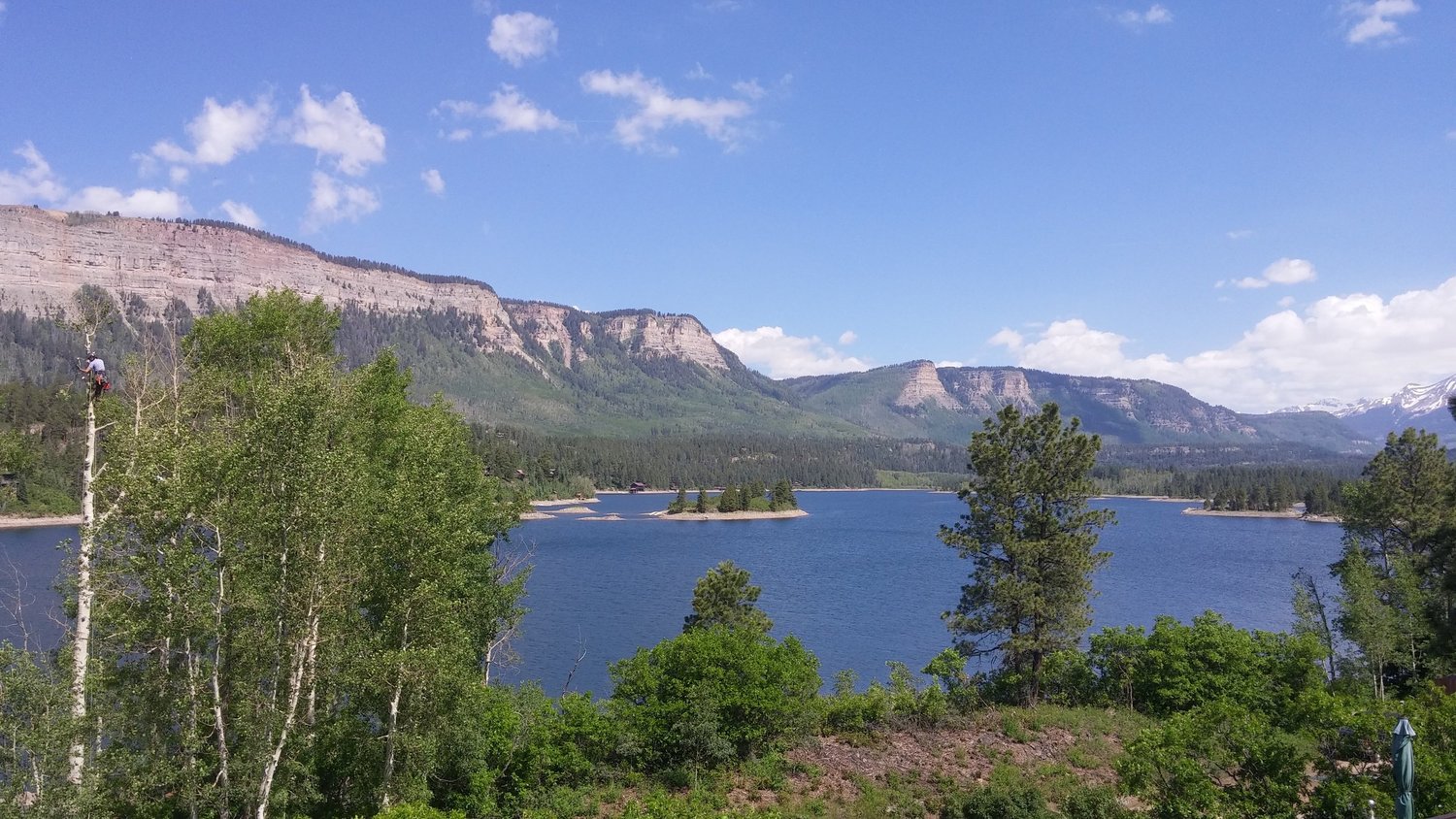 Durango Tree Care - Arborist Durango, Colorado