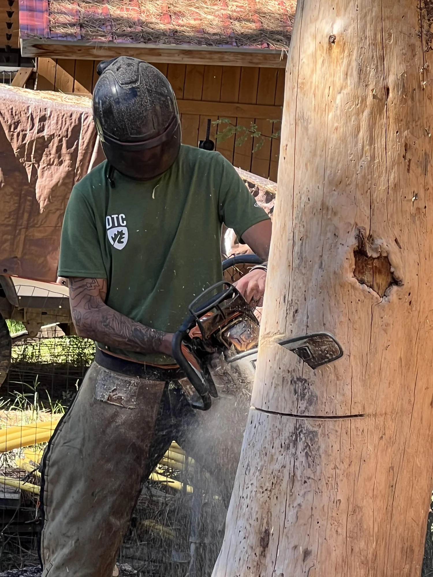 Durango Tree Care - Arborist Durango, Colorado