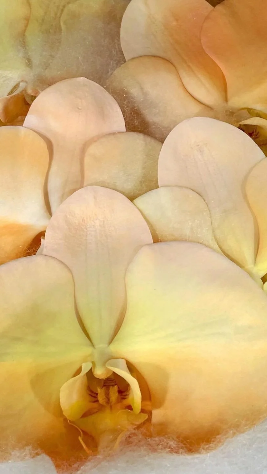 Girl Code Nails and Beauty Bar