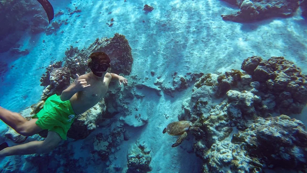 Ocean Toa Cook Islands | Turtle Tours & Ocean Adventures