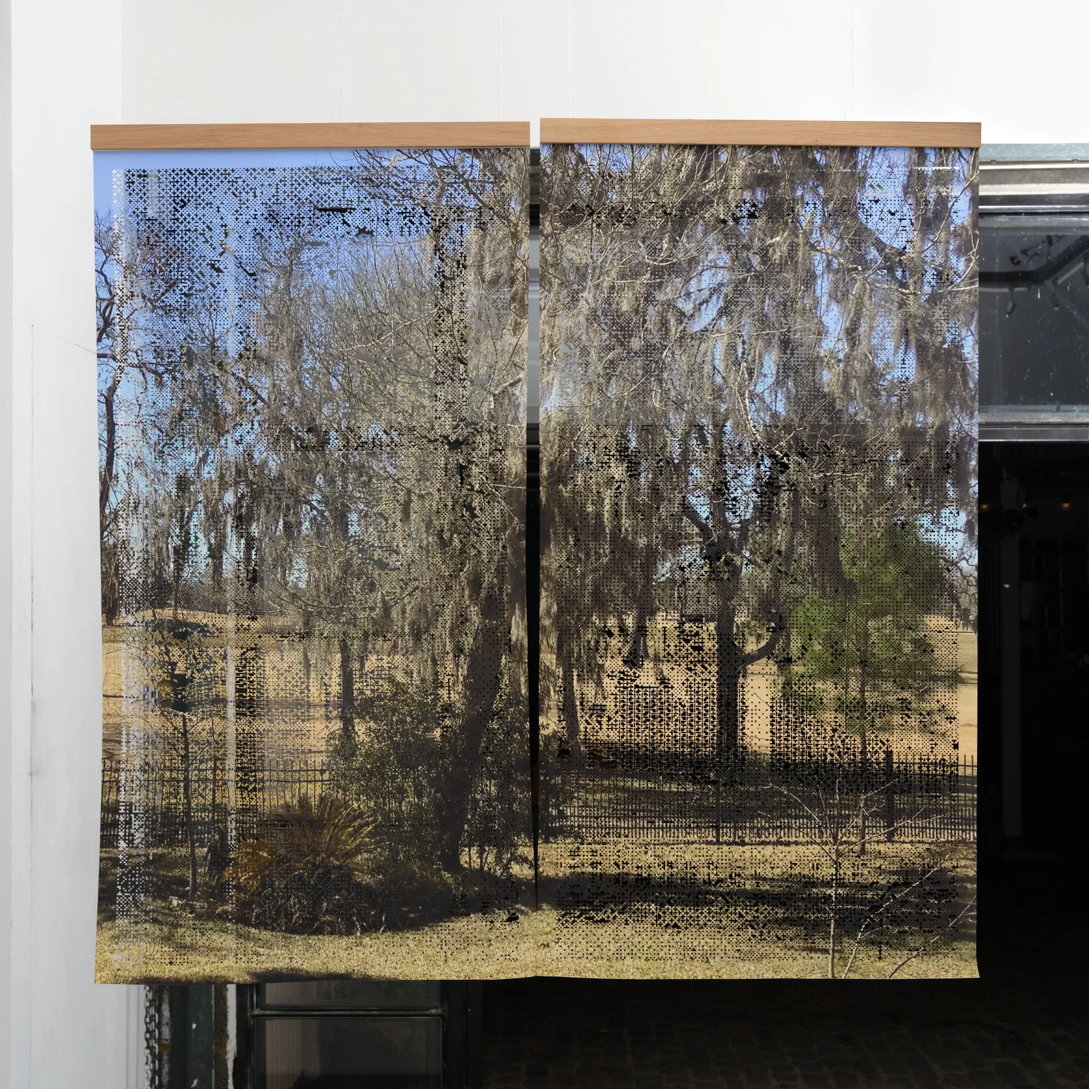 Caroline Jane Harris — PHOTOFUSION