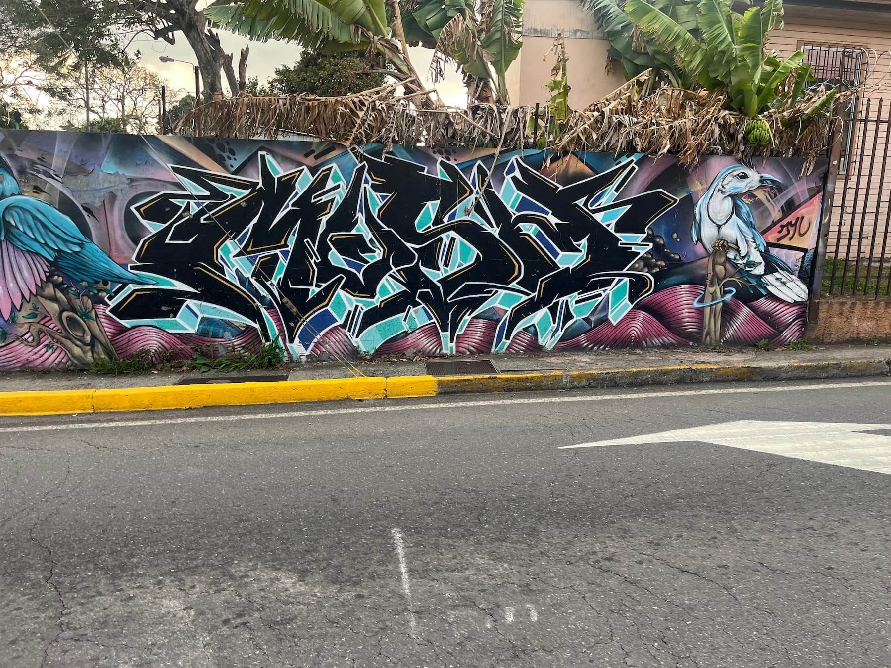 Discovering the San Jose street art in Costa Rica.