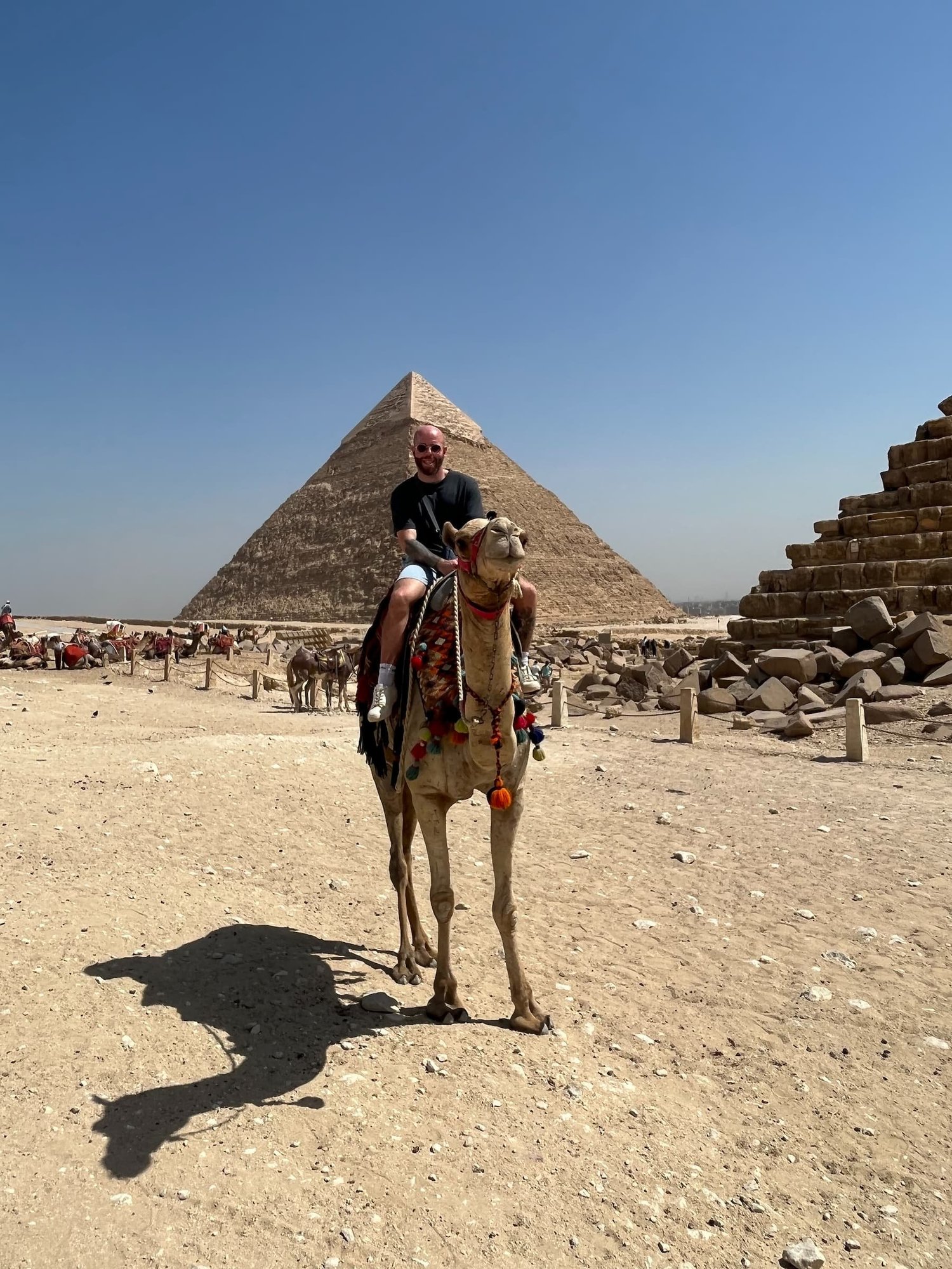 Riding Camels in Egypt – Prices, Safety & Best Places