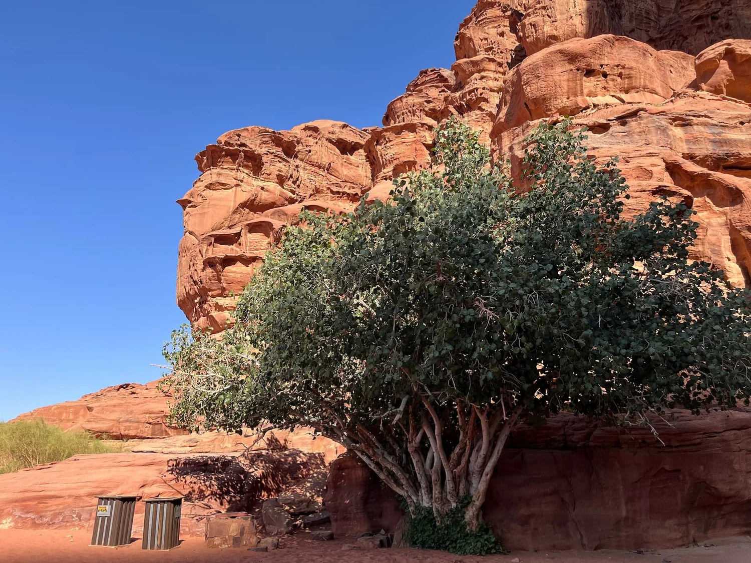 9 Most Instagrammable Places in Jordan (2025 Guide) – Petra, Wadi Rum ...