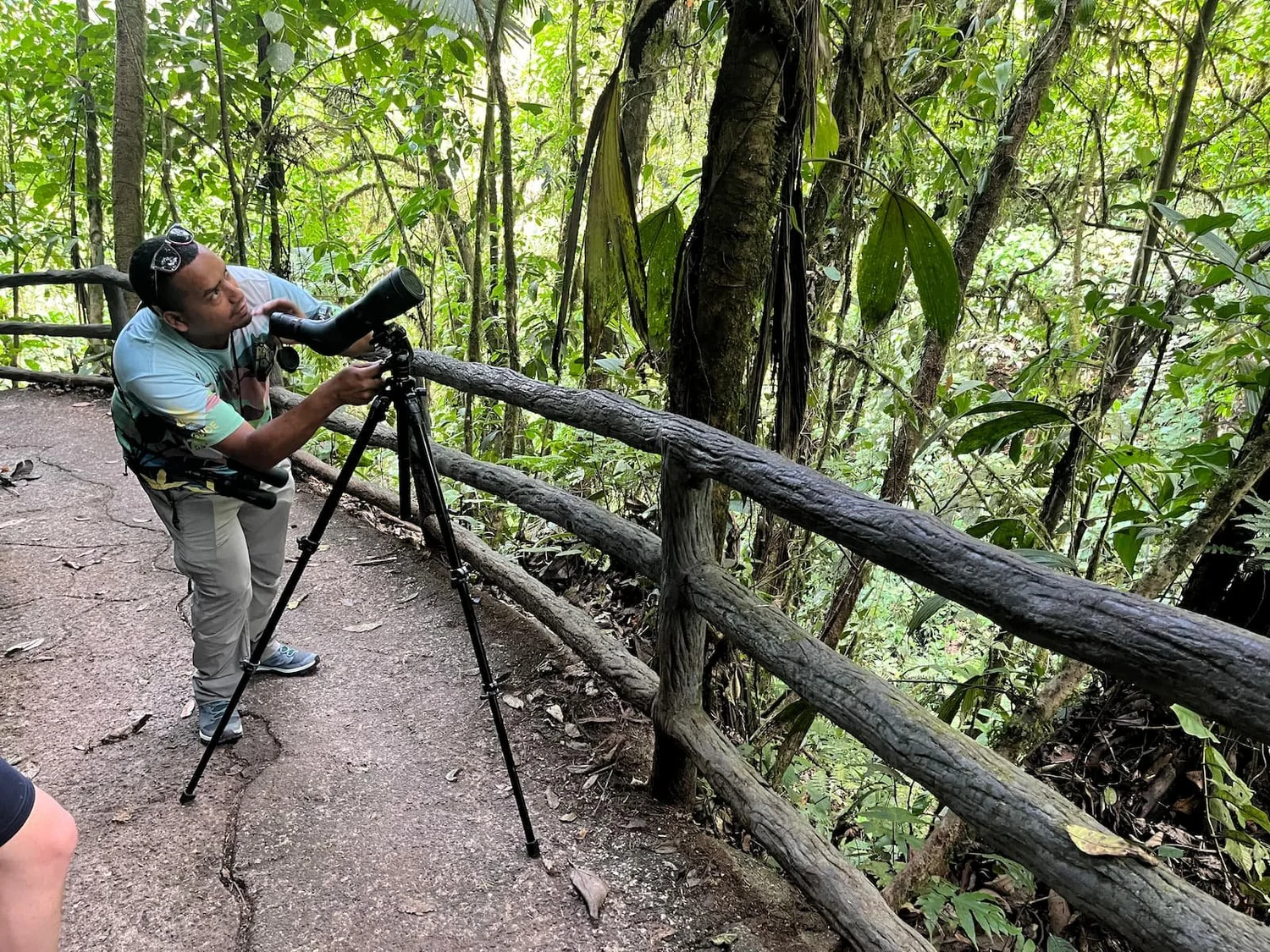 Best La Fortuna Tours 2026 – Volcano, Waterfall & Rainforest Adventures ...