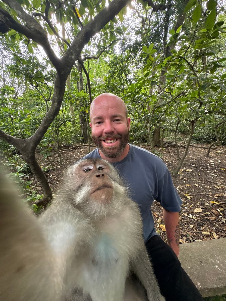 Sangeh Monkey Forest Bali (2026) – Tickets, Tips & Monkey Guide.