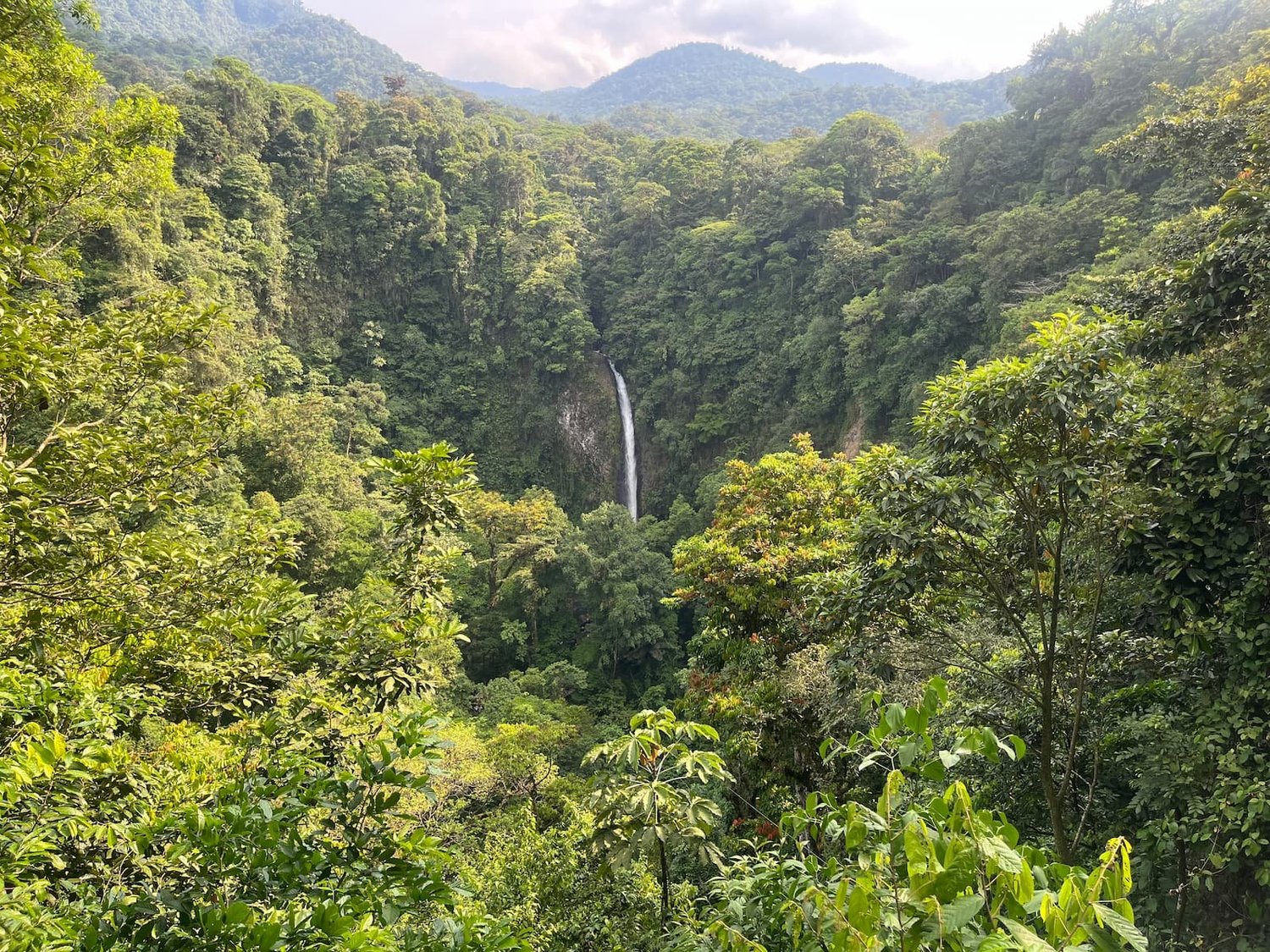 Best La Fortuna Tours 2026 – Volcano, Waterfall & Rainforest Adventures ...