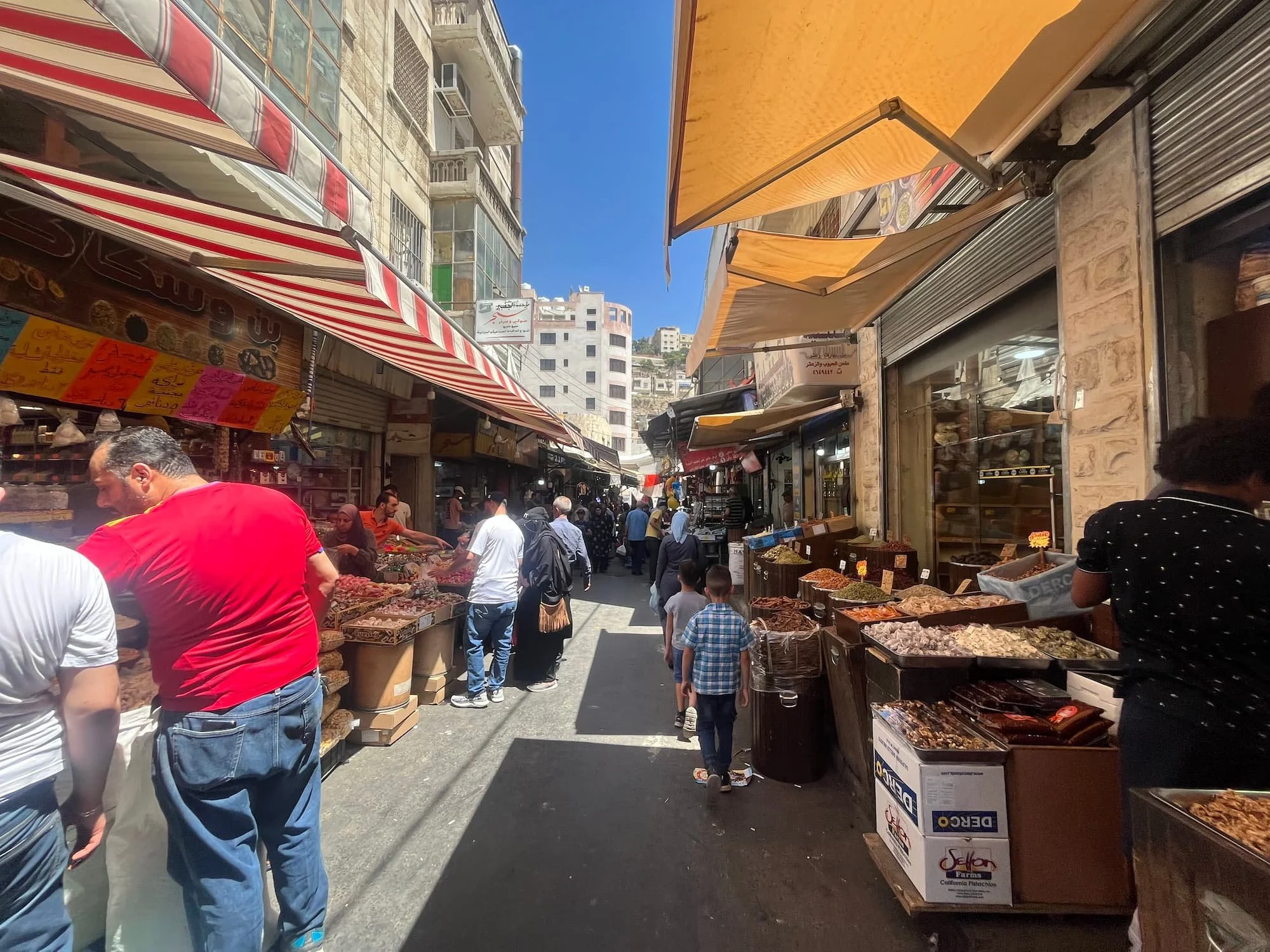 One Day in Amman, Jordan (2026): Best Things to Do & Local Tips.