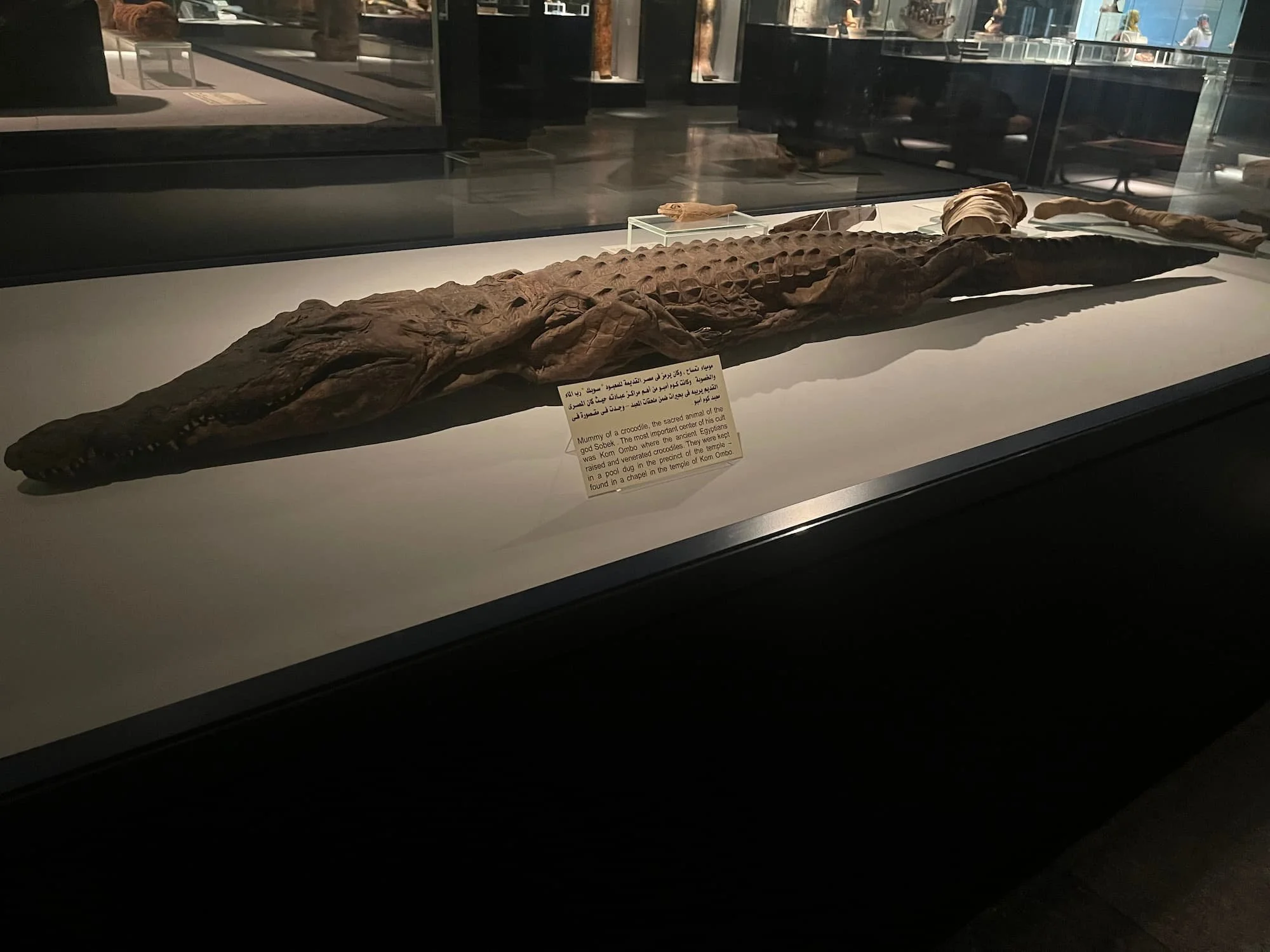 Visiting the Mummification Museum in Luxor (2026 Guide): Ancient ...
