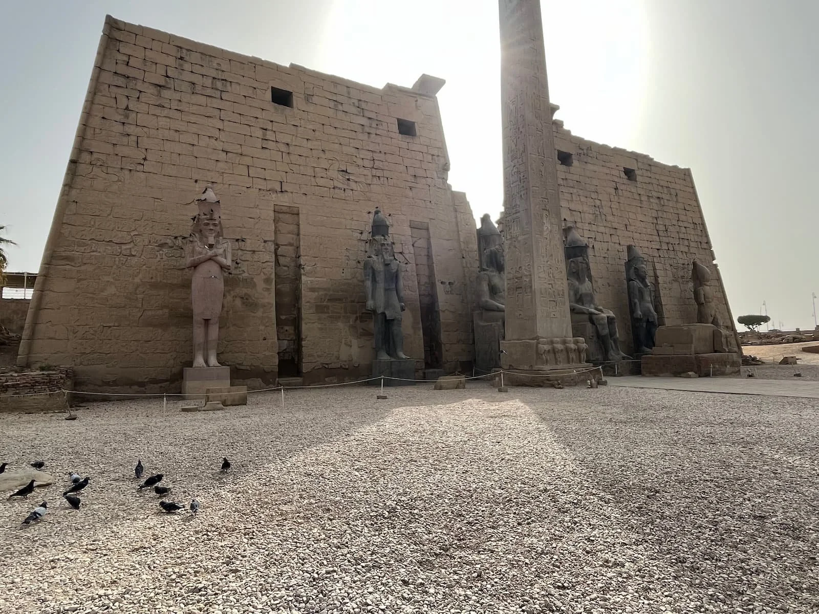 Luxor Temple Egypt (2026) – Tickets, Prices, Opening Hours & Travel Guide.