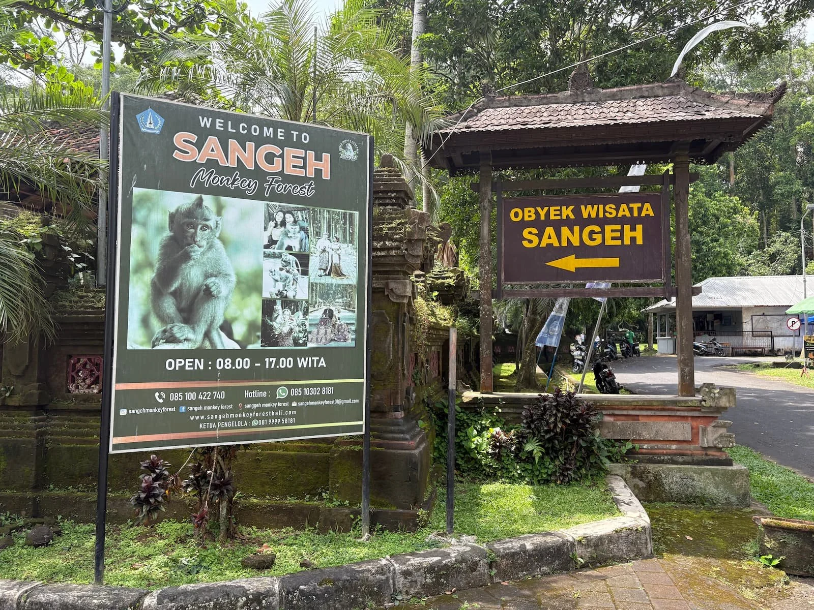 Sangeh Monkey Forest Bali (2026) – Tickets, Tips & Monkey Guide.