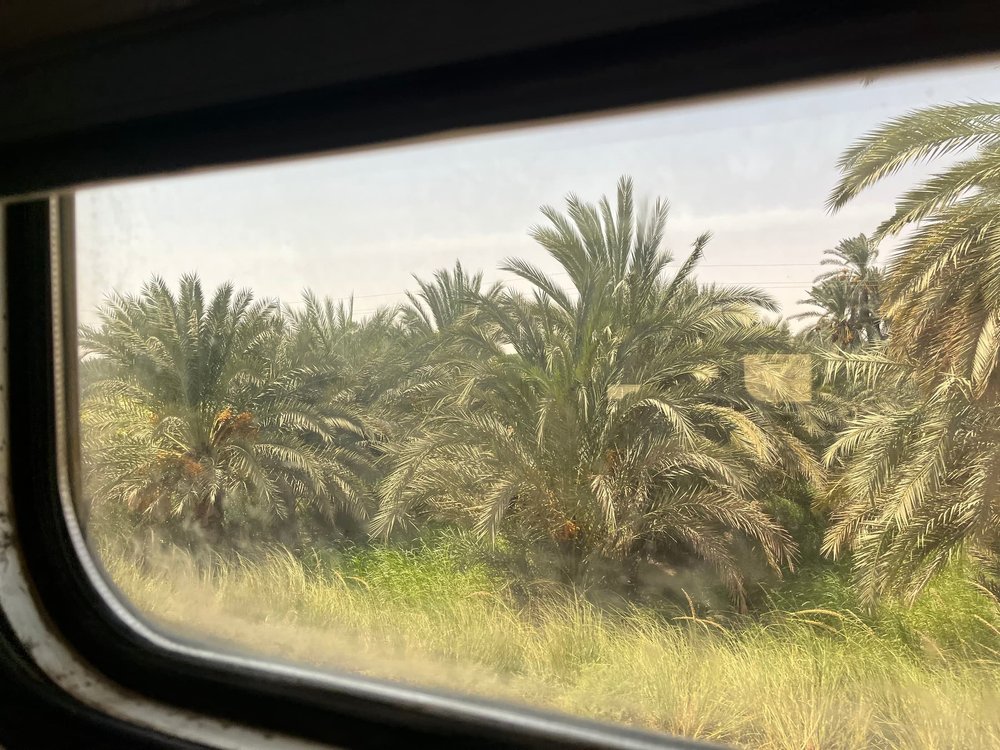 Luxor to Aswan Train (2026): Safety, Tips & What to Expect in Egypt.