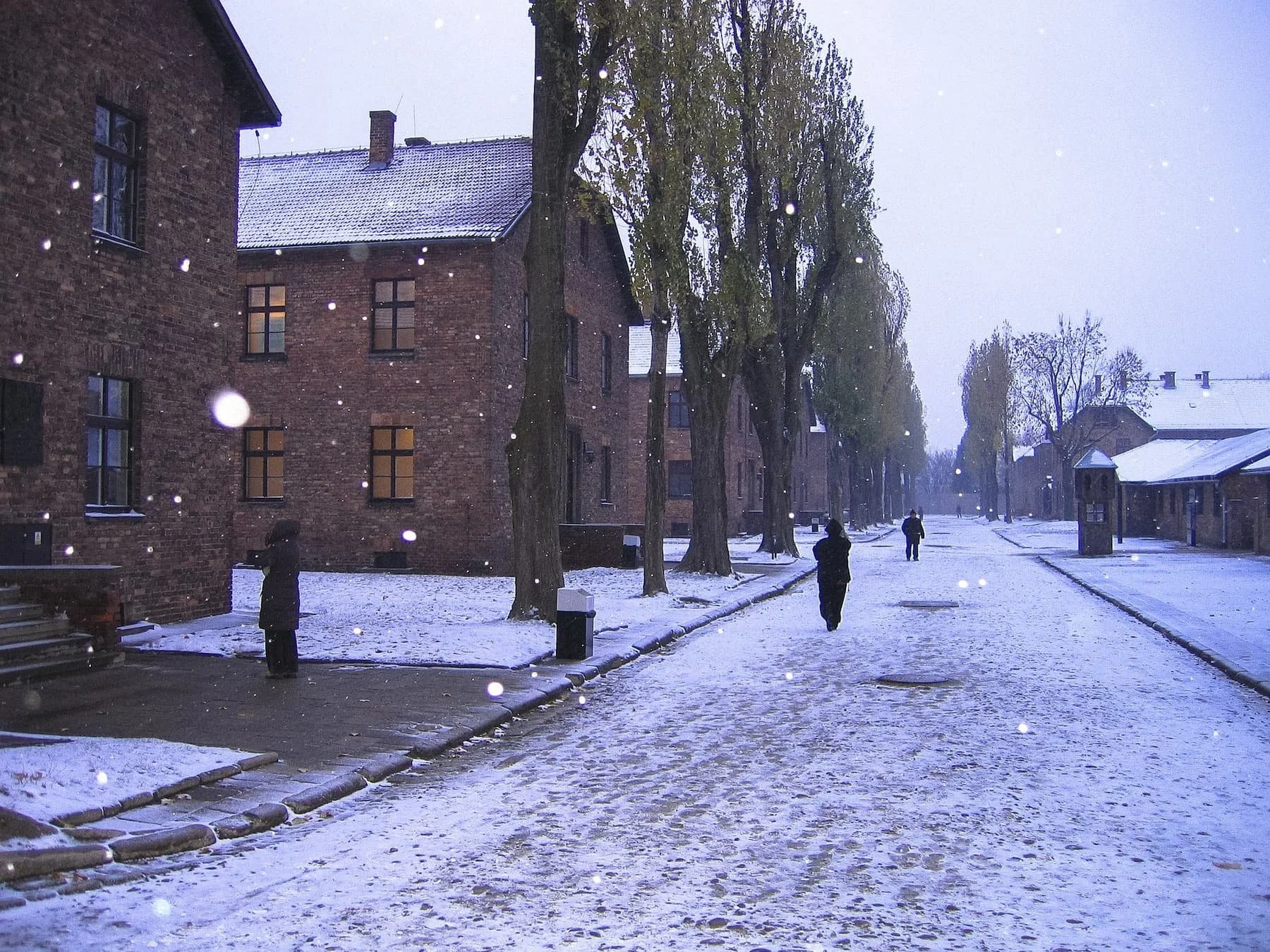 Visiting Auschwitz in Winter: Why It’s the Most Powerful Time to Go.