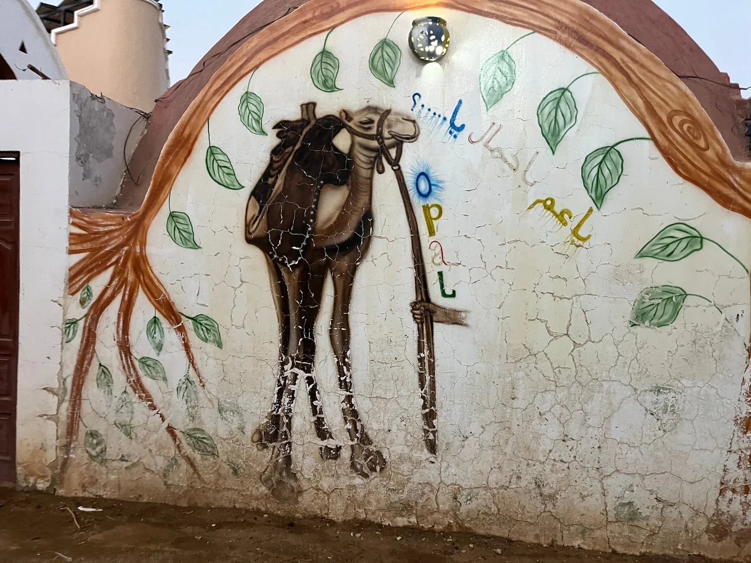 Riding Camels in Egypt – Prices, Safety & Best Places