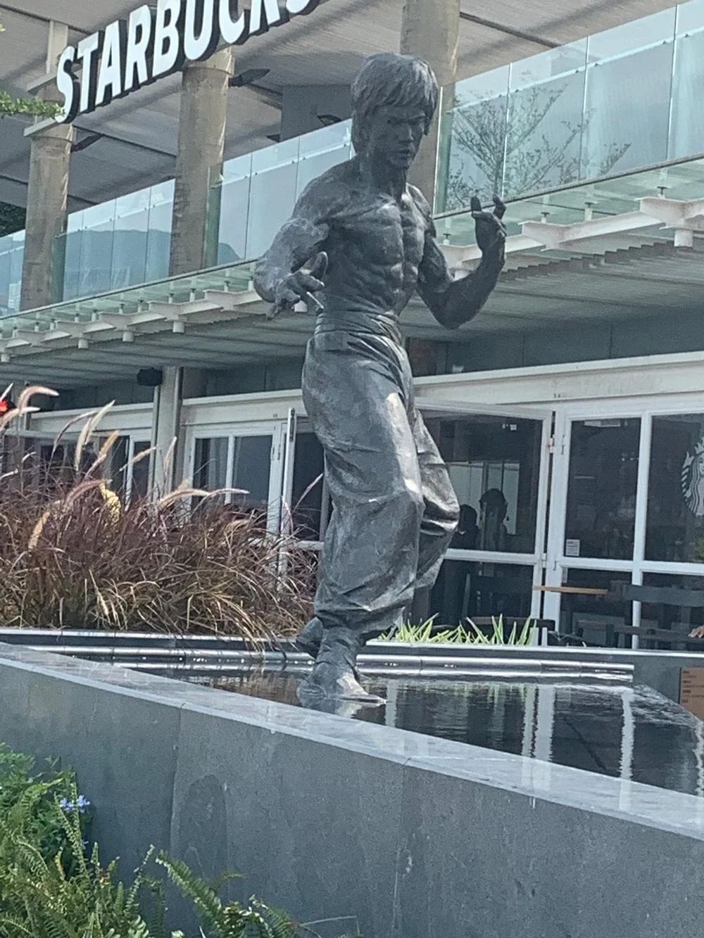 Bruce Lee Statue Hong Kong (2025) – Visit Guide, Avenue of Stars & Tips.